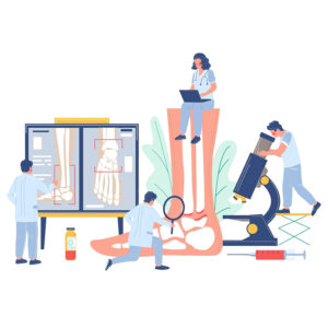 How Broken Bone X-Ray Helps Diagnose Fractures